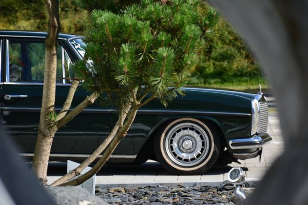 Magdalena et sa bagged Mercedes W115. De l'essence dans mes veines